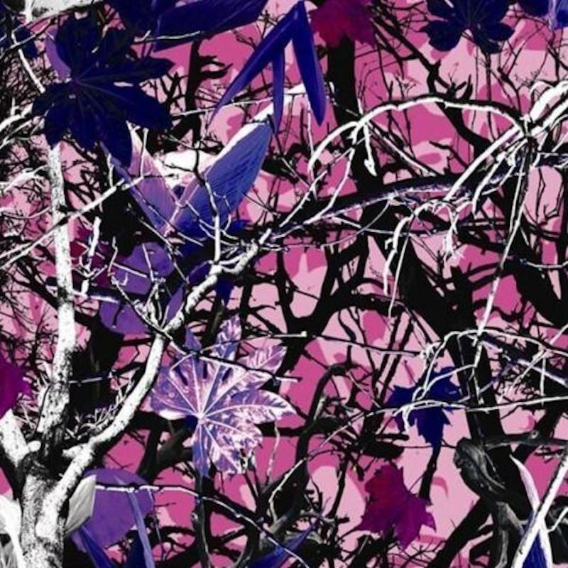 Kits – Hydrographic Film Supplies