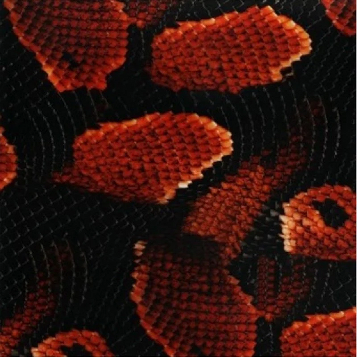 COPPER SNAKE SKIN – Hydrographic Film Supplies