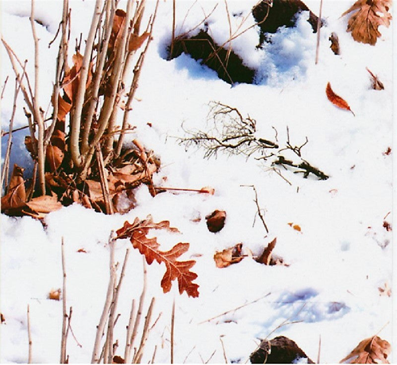 WINTER CAMO DIP KIT – Hydrographic Film Supplies