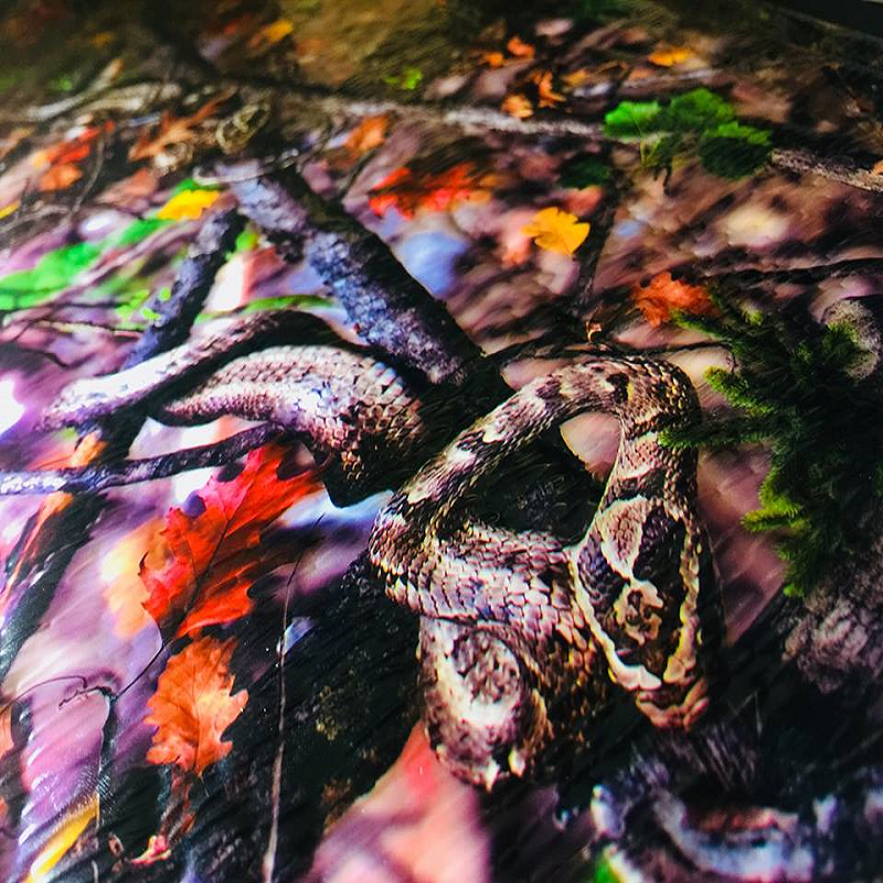 SNAKE CAMO – Hydrographic Film Supplies